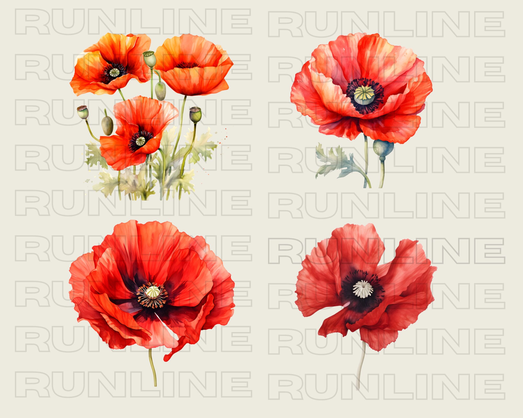 Poppies Watercolor Clipart Bundle, Watercolor Floral Clipart, Poppies ...