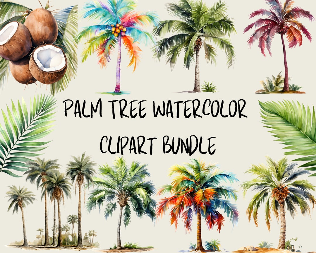 Palm Tree Watercolor Clipart, Watercolor Summer Clipart Bundle, Beach ...
