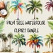 Palm Tree Watercolor Clipart, Watercolor Summer Clipart Bundle, Beach ...