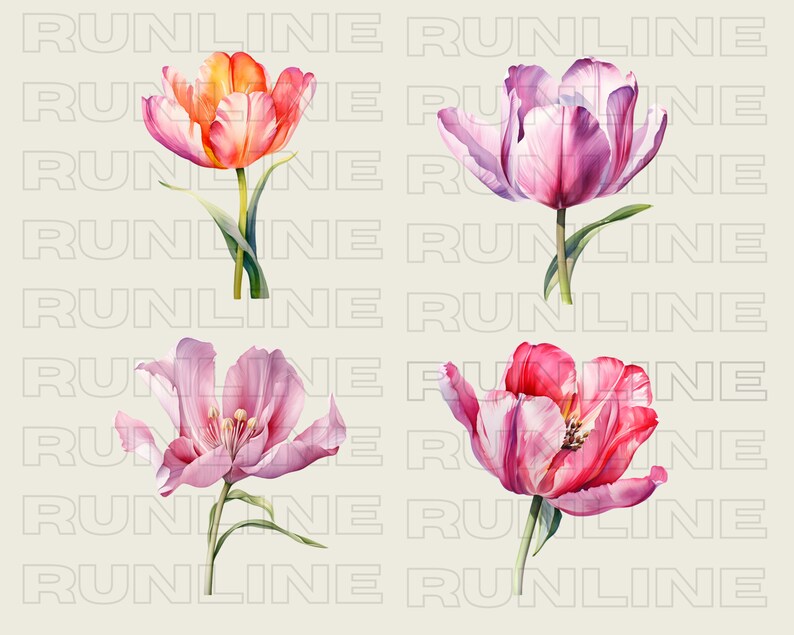 Tulips Watercolor Clipart, Watercolor Floral Clipart Bundle, Tulips PNG ...
