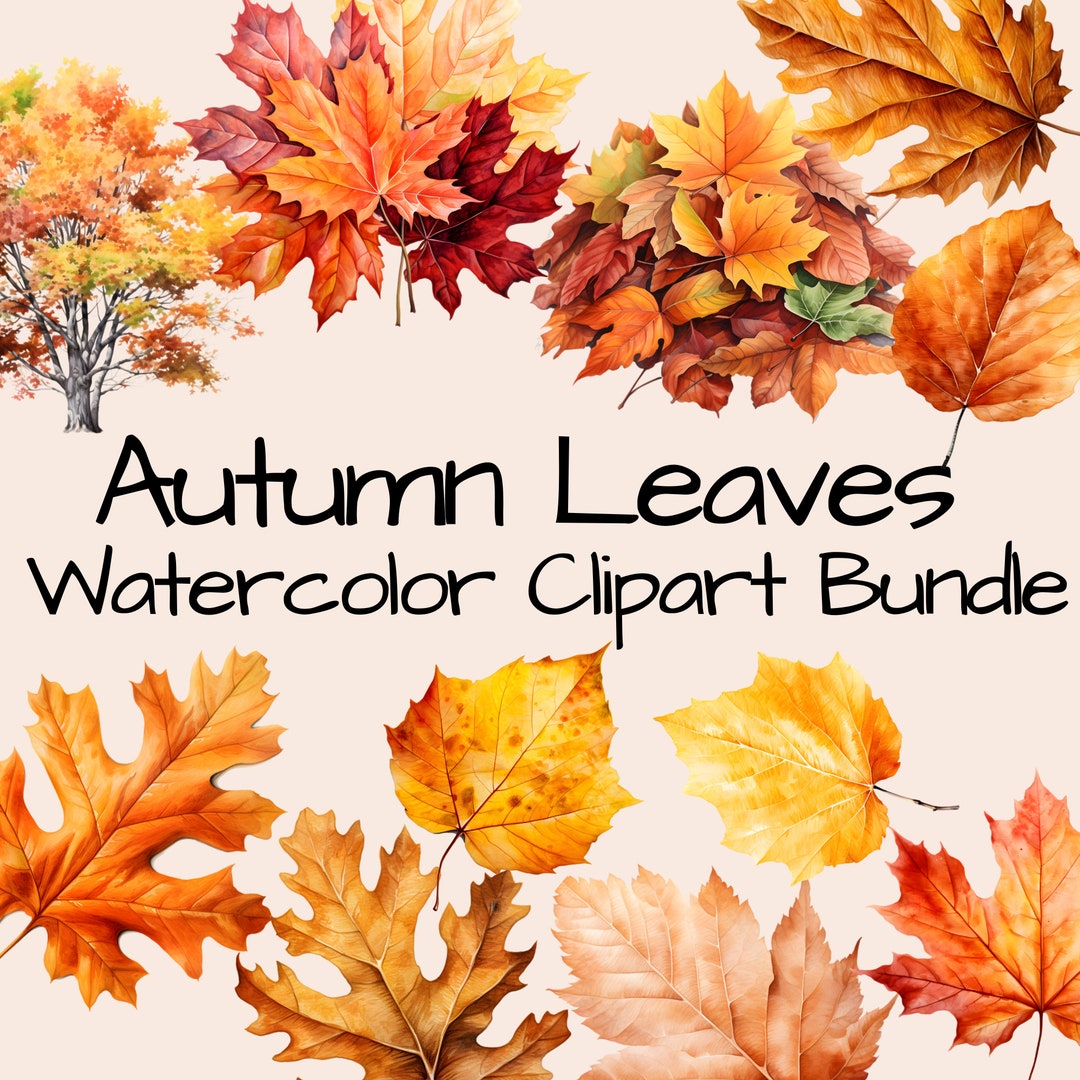 Autumn Leaves Watercolor Clipart Bundle, Autumn Clipart, Leaves Clipart ...