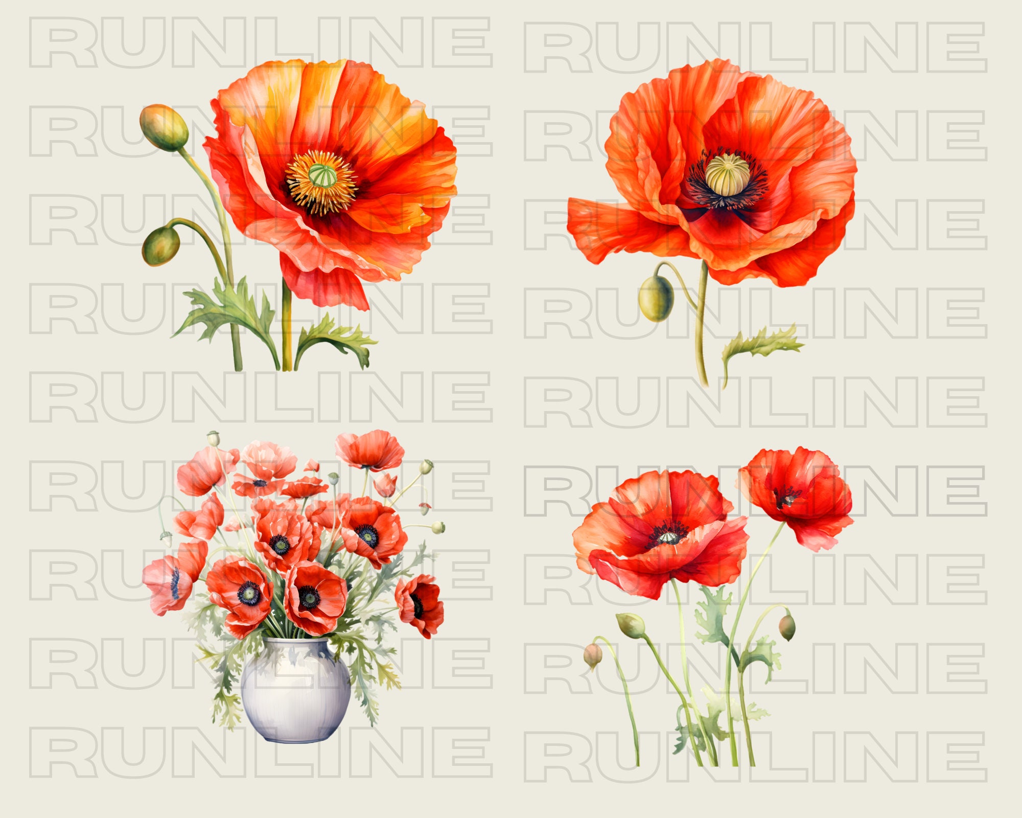 Poppies Watercolor Clipart Bundle, Watercolor Floral Clipart, Poppies ...