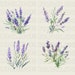 Watercolor Lavender Clipart Bundle, Watercolor Floral Clipart, Purple ...