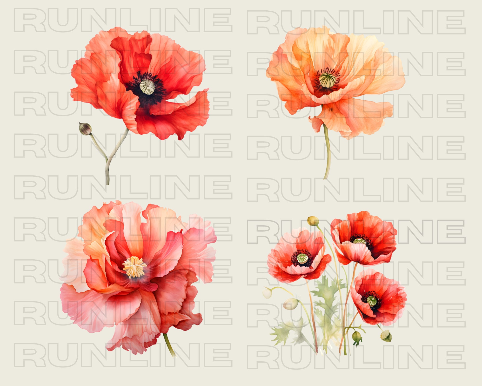 Poppies Watercolor Clipart Bundle, Watercolor Floral Clipart, Poppies ...