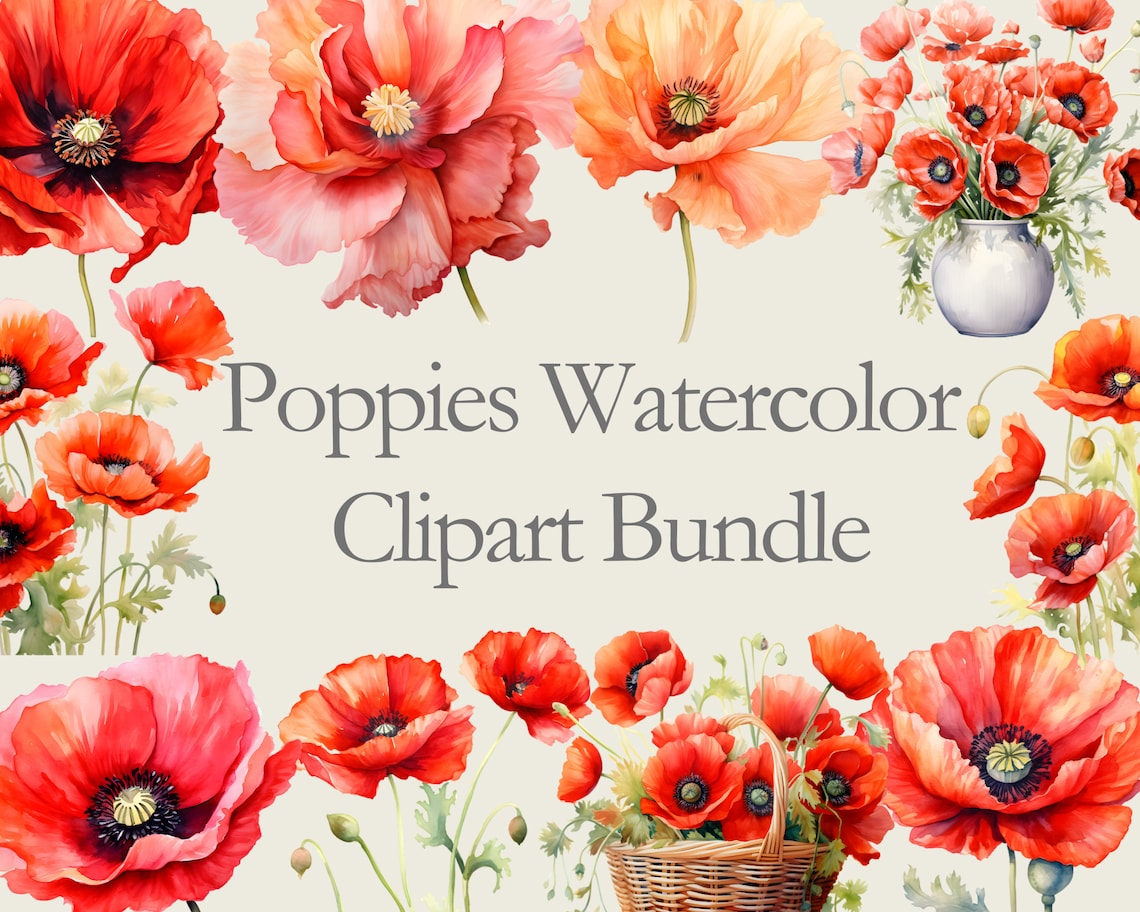Poppies Watercolor Clipart Bundle, Watercolor Floral Clipart, Poppies ...