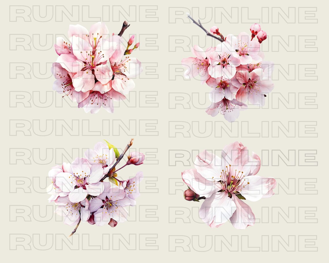 Cherry Blossom Watercolor Clipart, Watercolor Floral Clipart Bundle ...