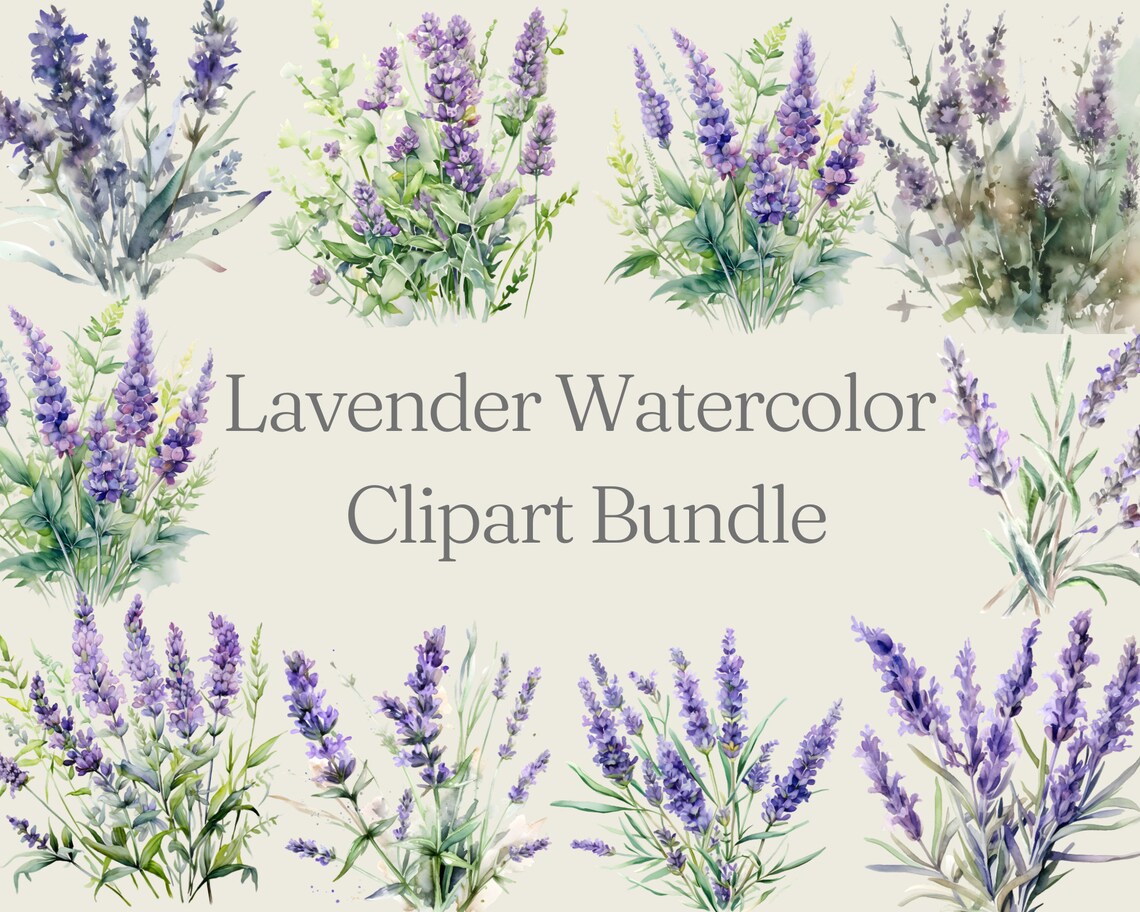 Watercolor Lavender Clipart Bundle, Watercolor Floral Clipart, Purple ...