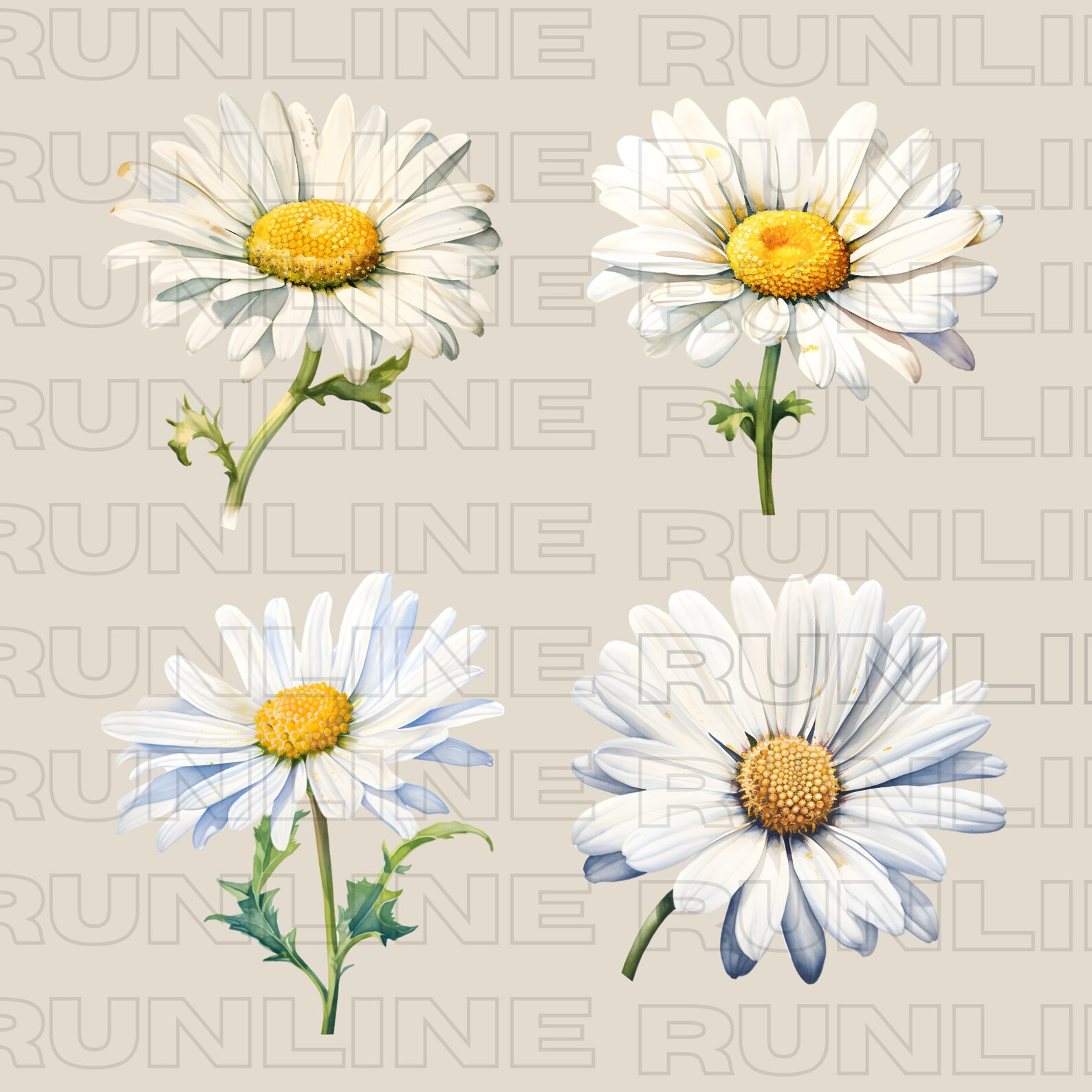 Daisy Watercolor Clipart Bundle Watercolor Floral Clipart - Etsy