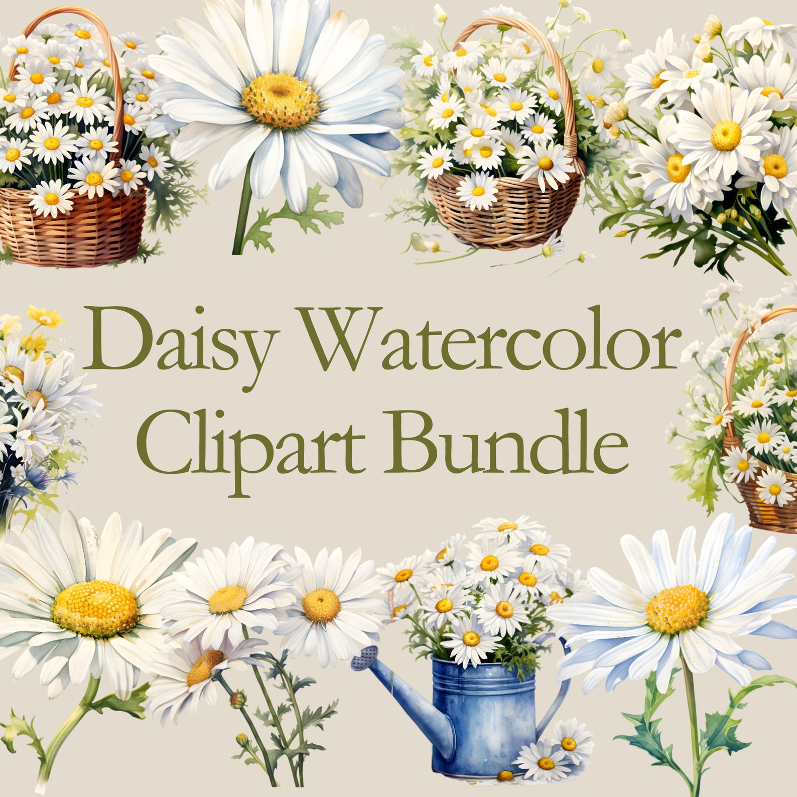 Daisy Watercolor Clipart Bundle, Watercolor Floral Clipart, Daisy PNG ...