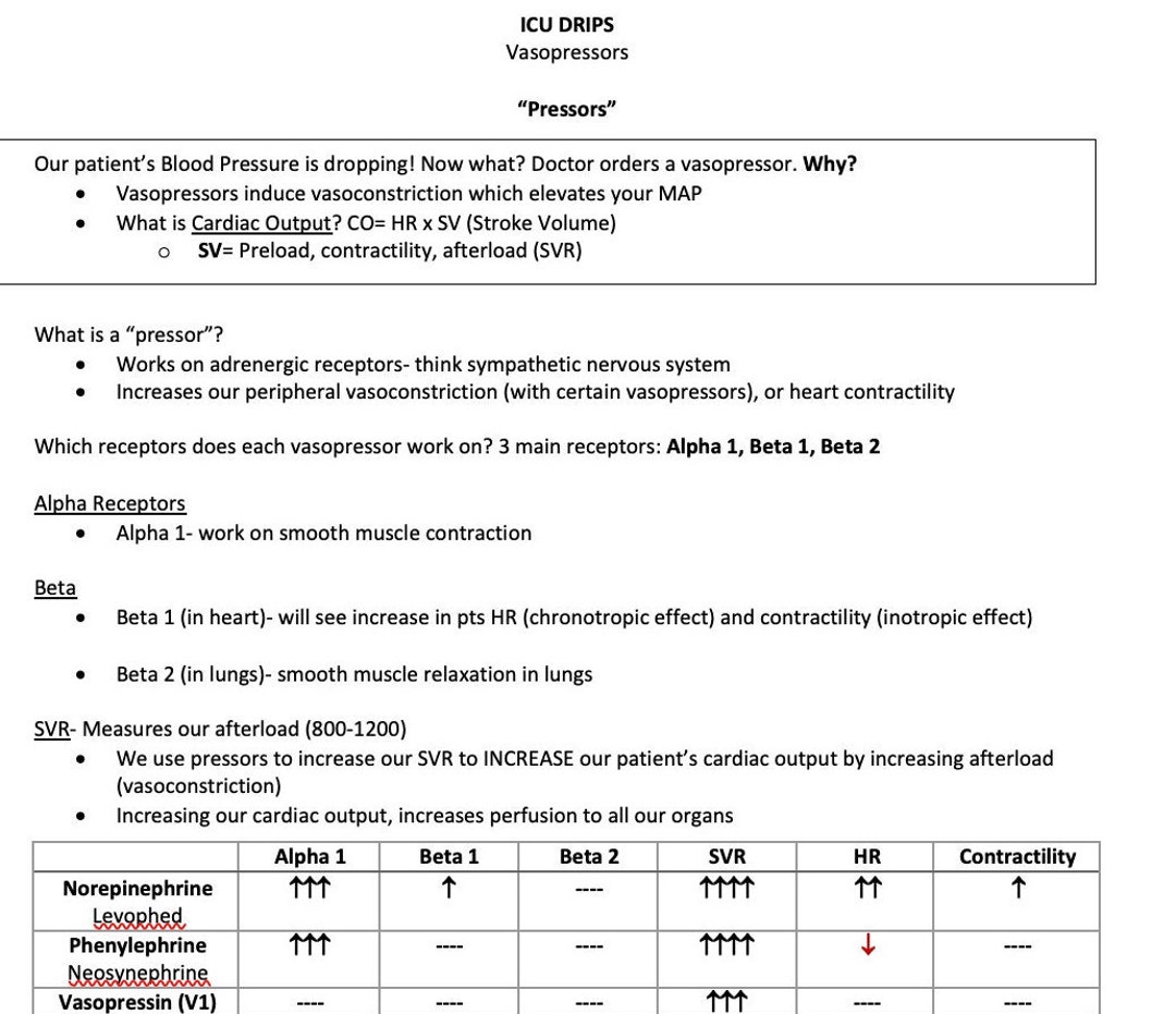 Common ICU Vasopressors - Etsy