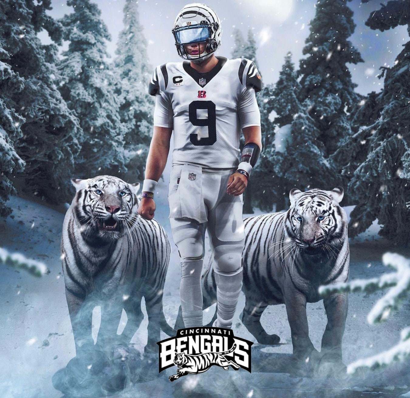 White Bengal Tiger Images