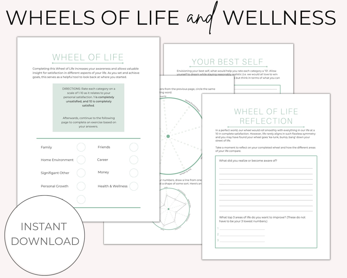 Wheel of Life and Wellness Printable, Health Assessment & Template - Etsy