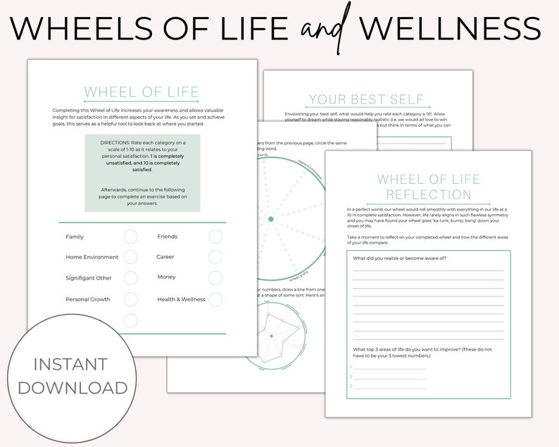 Wheel of Life and Wellness Printable, Health Assessment & Template - Etsy