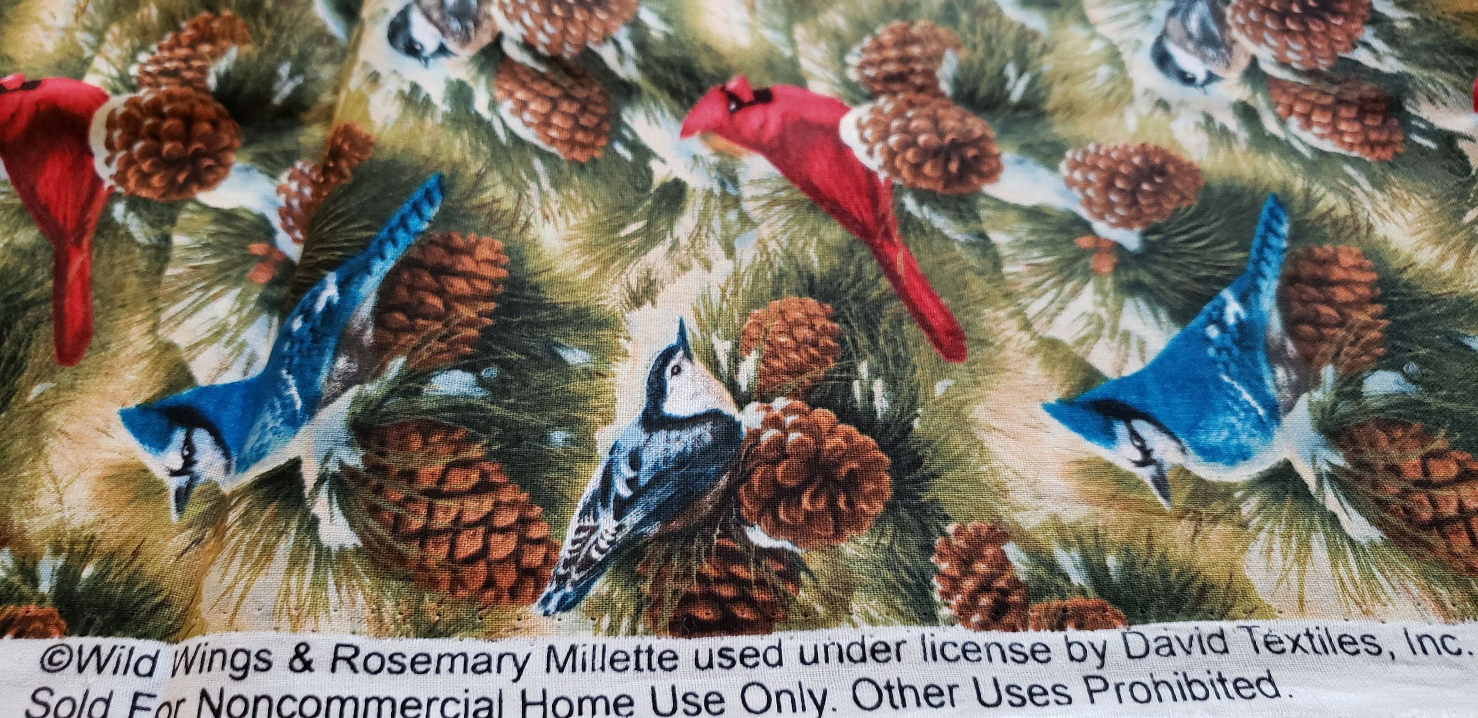 Wild Wings Fabric Designed by Rosemary Millette for David Textiles, Inc ...