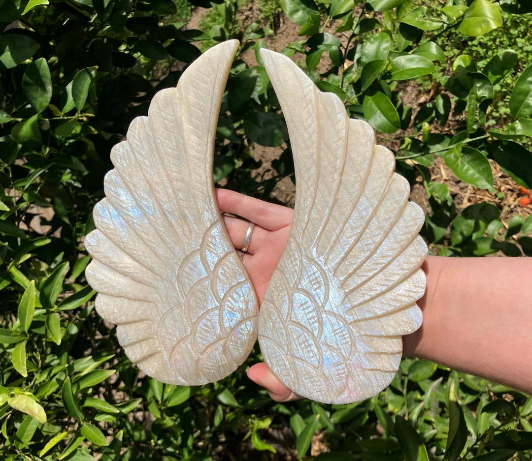 Moonstone Angel Wings Natural Moonstone Crystal Angel Wings 2 Lb ...