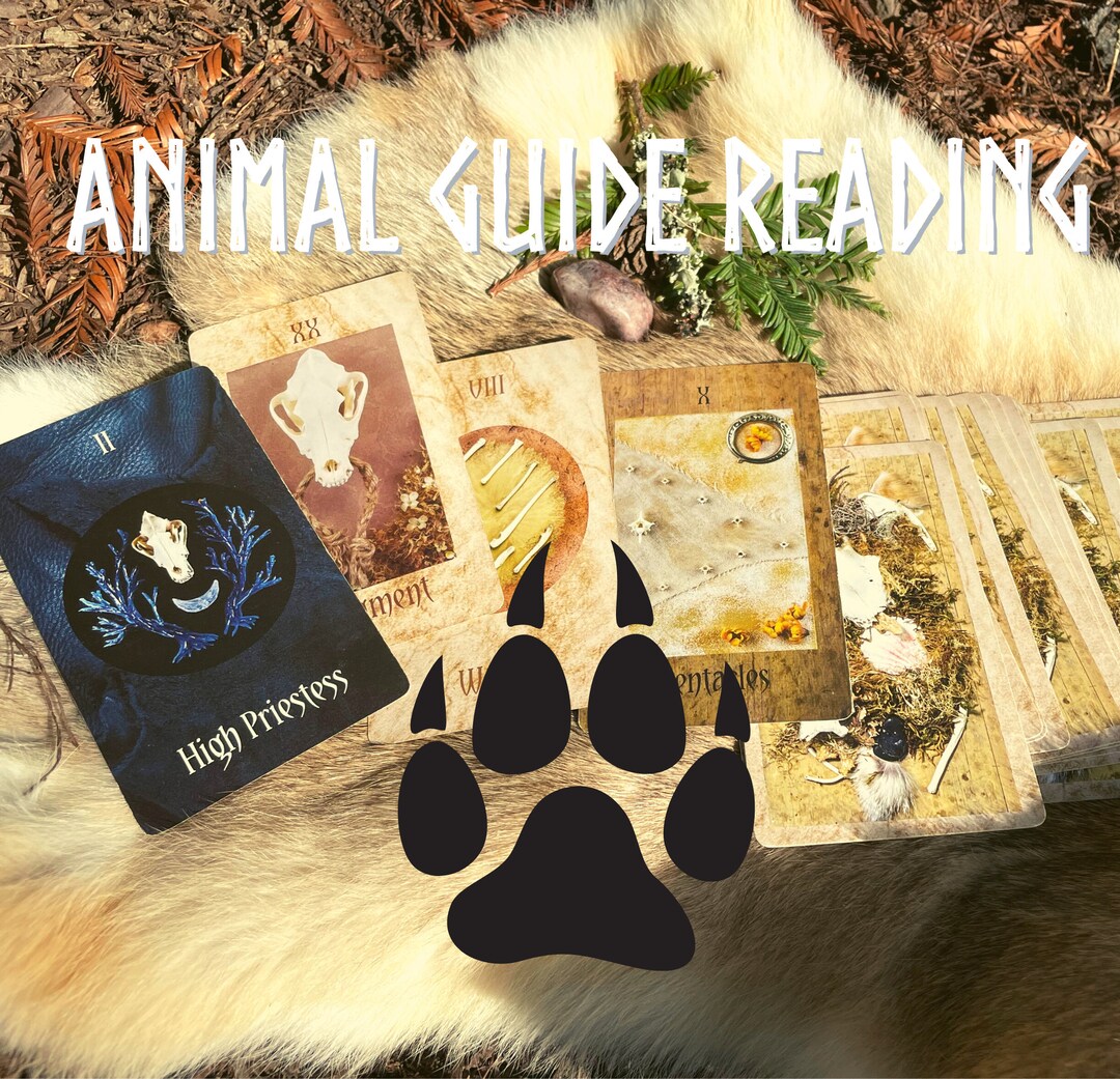 Animal Guide Reading - Etsy