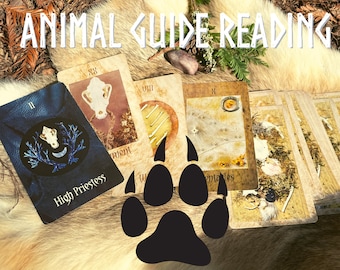 Animal Guide Reading - Etsy