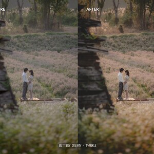 12 Creamy Luts Color Grading | Video and Photo | Mobile & Desktop | VN ...