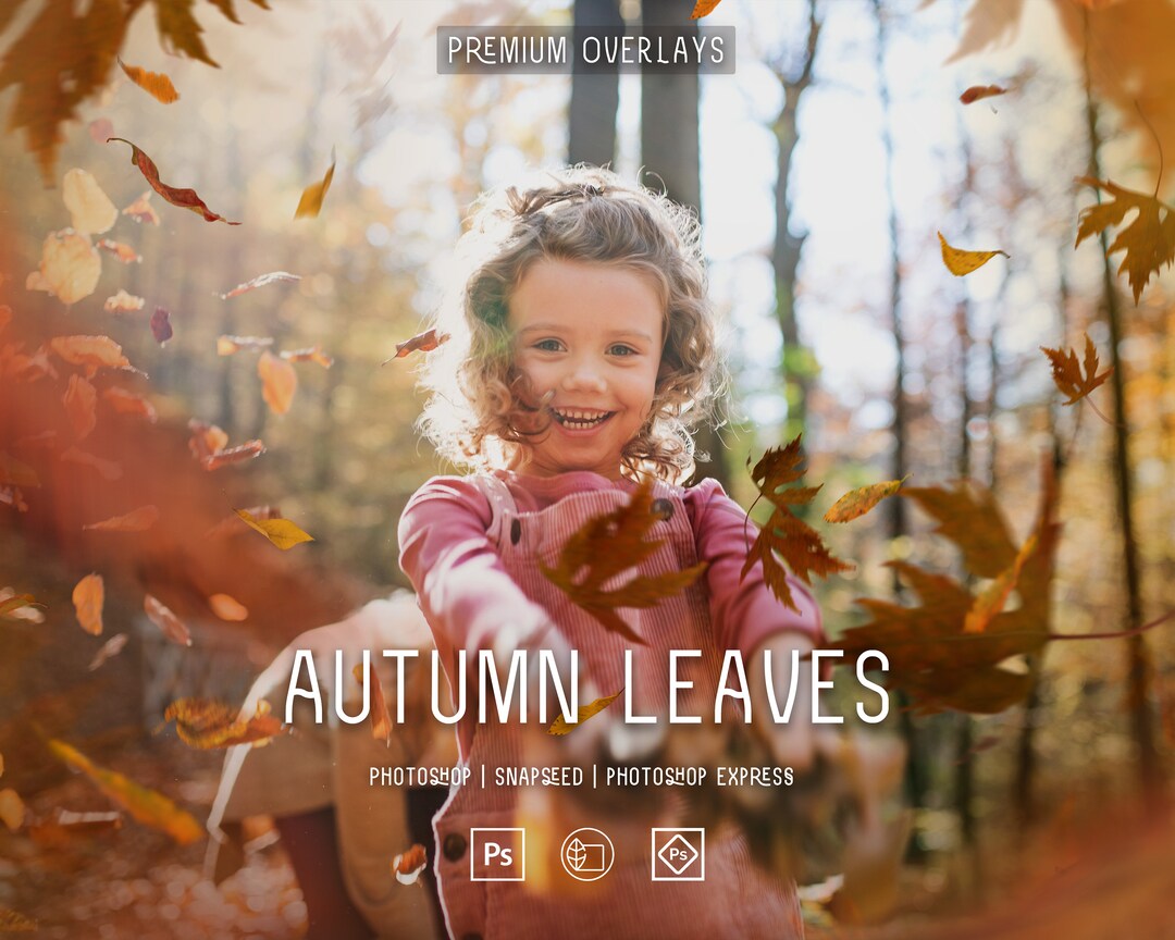 95 Autumn Leaves Overlay, Falling Leaves, Photoshop Overlays, Fall ...