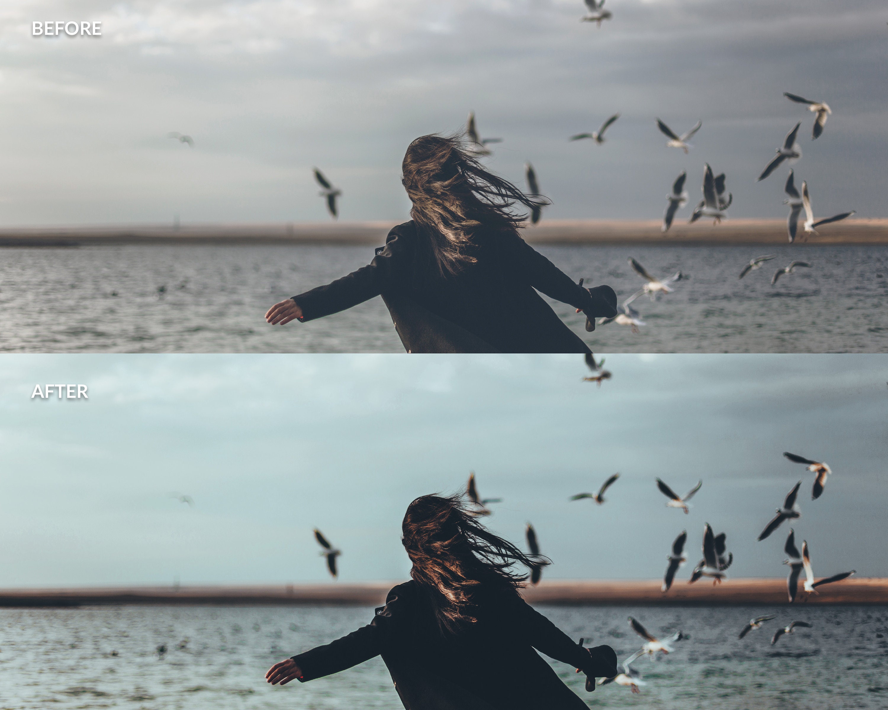 50 Classic Cinematic Film Luts Color Grading Video and Photo - Etsy