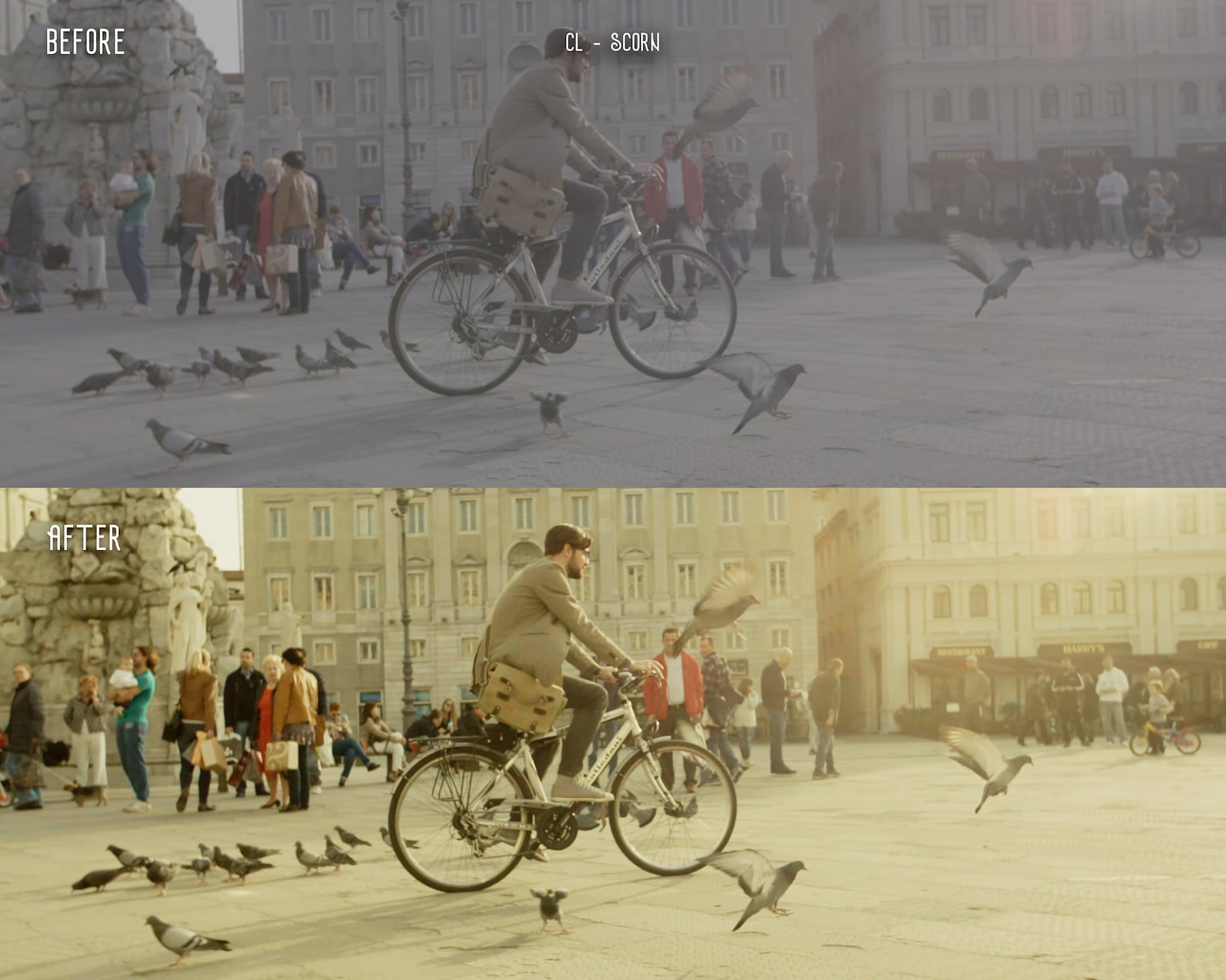 20 Cinematic Luts V2 Color Grading Photo and Video Mobile & Desktop ...