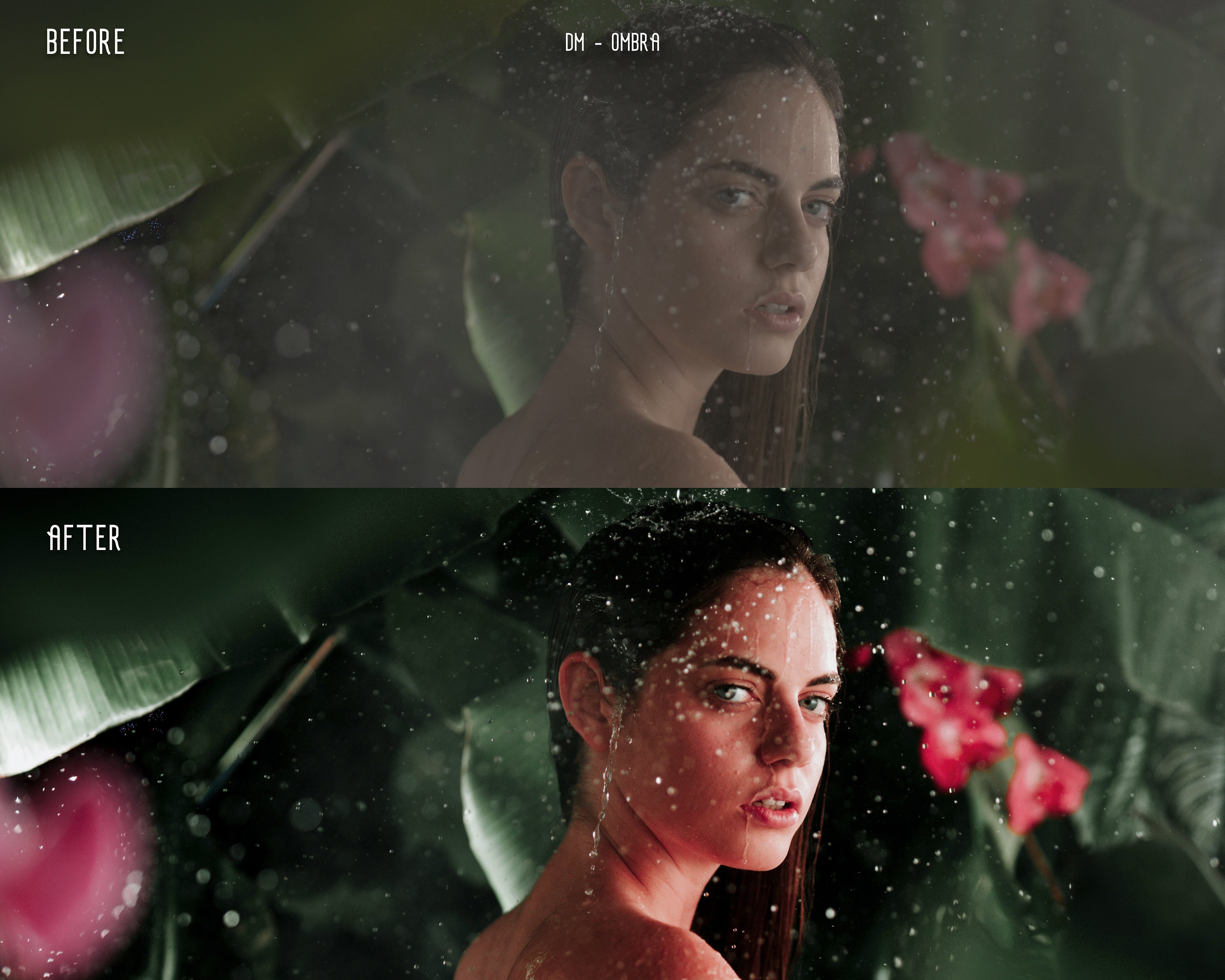 16 Dark Moody Luts Color Grading Video and Photo Mobile & - Etsy
