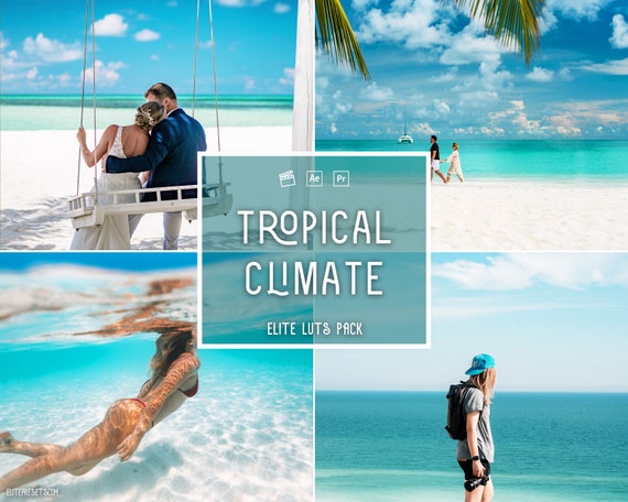 Tropical Luts Summer Luts Color Grading Video and Photo | Etsy