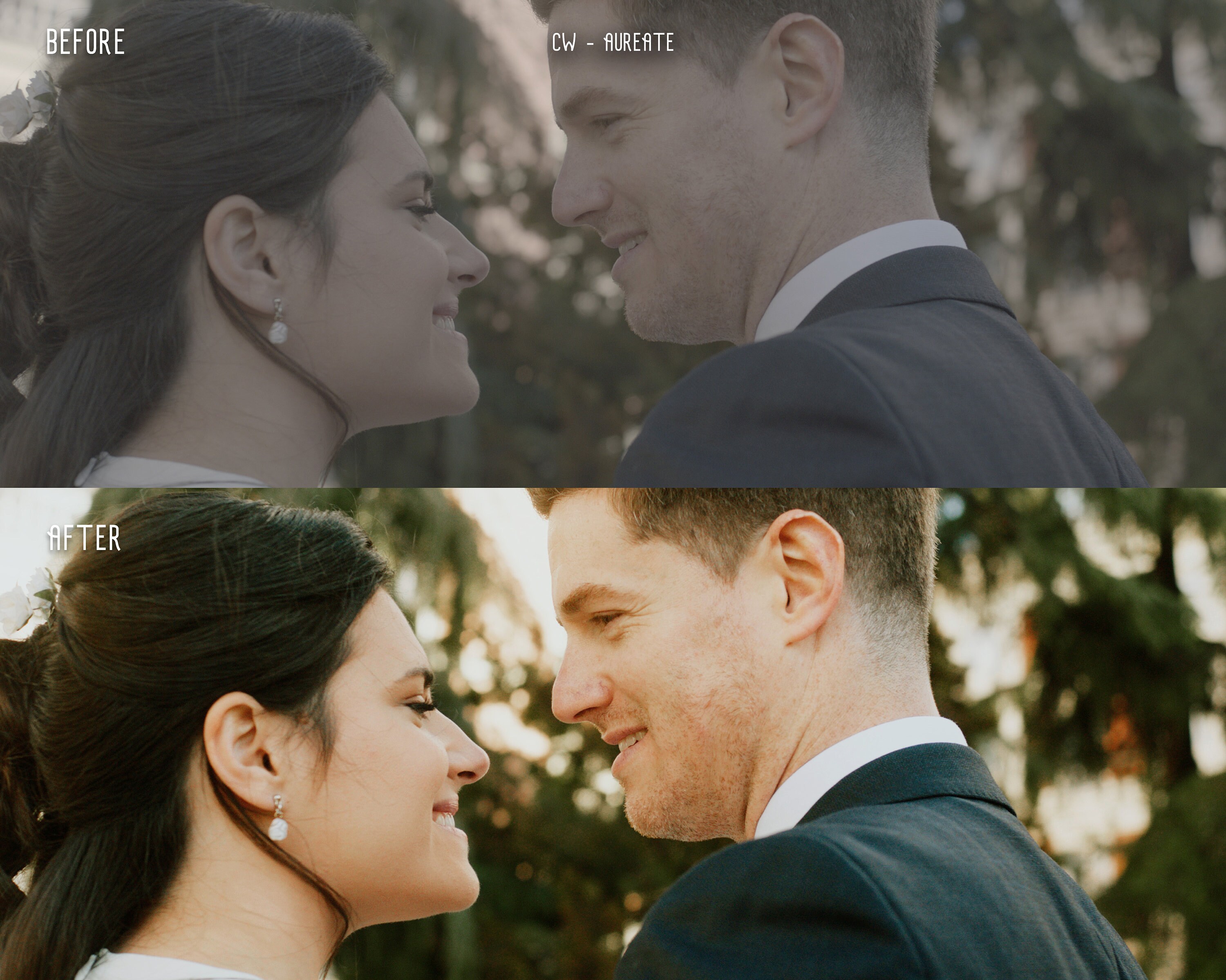 Cinematic Wedding Luts Color Grading Video and Photo - Etsy UK
