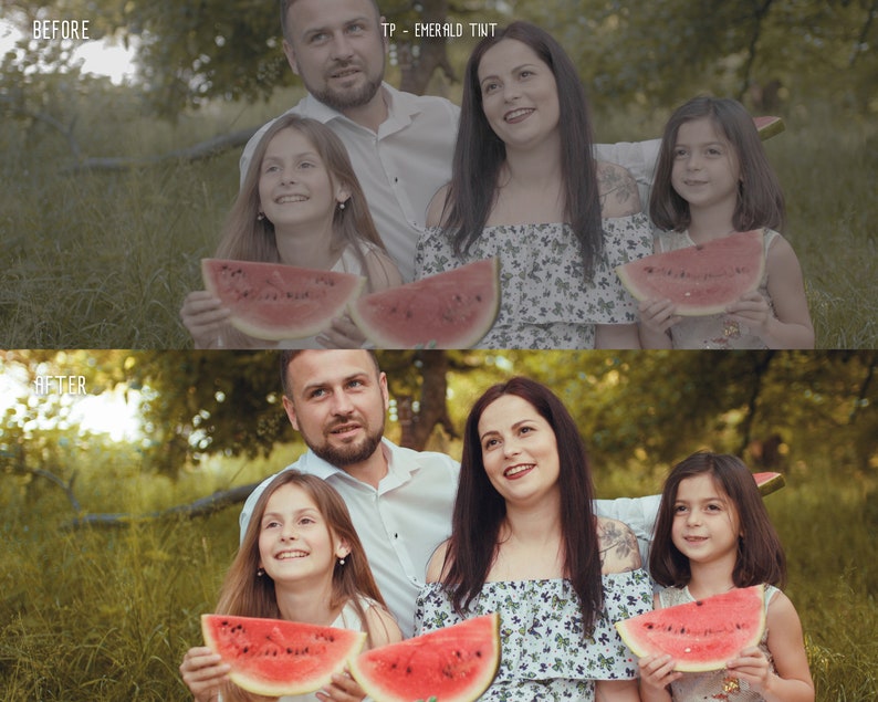 20 Perfect Portrait Luts Color Grading Video and Photo - Etsy