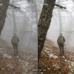 10 Majestic Fog Presets |enhance Your Adventure and Travel Photos, Fog ...