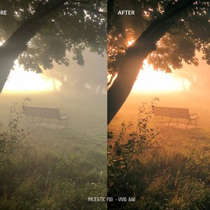 10 Majestic Fog Presets |enhance Your Adventure and Travel Photos, Fog ...