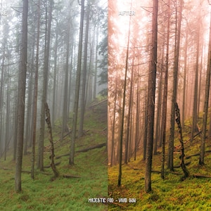 10 Majestic Fog Presets |enhance Your Adventure and Travel Photos, Fog ...