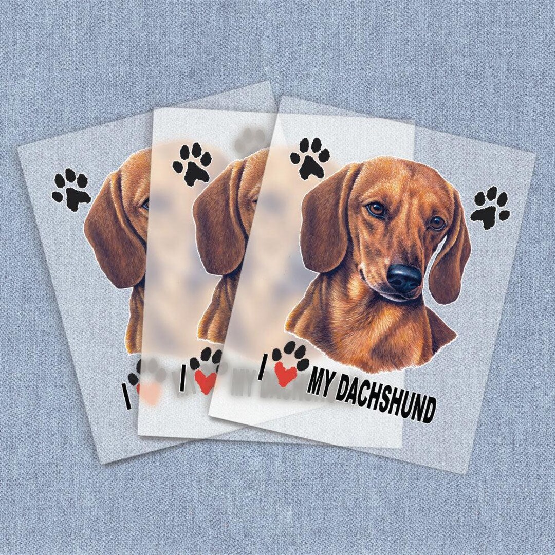 Dachshund DTF Heat Transfer, Iron-on Transfer, Animal Direct-to-film ...