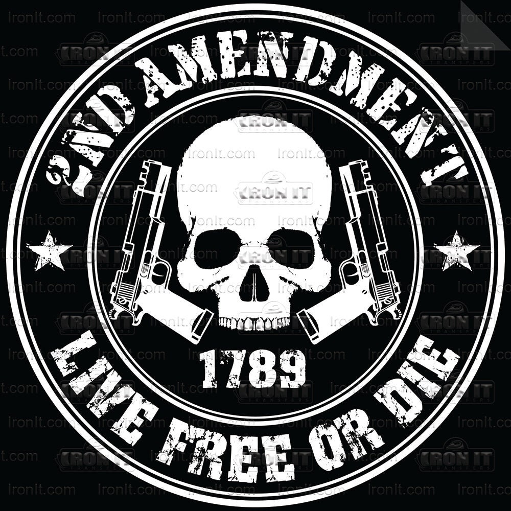 2nd Amendment DTF Heat Transfer Second Amendment - Etsy