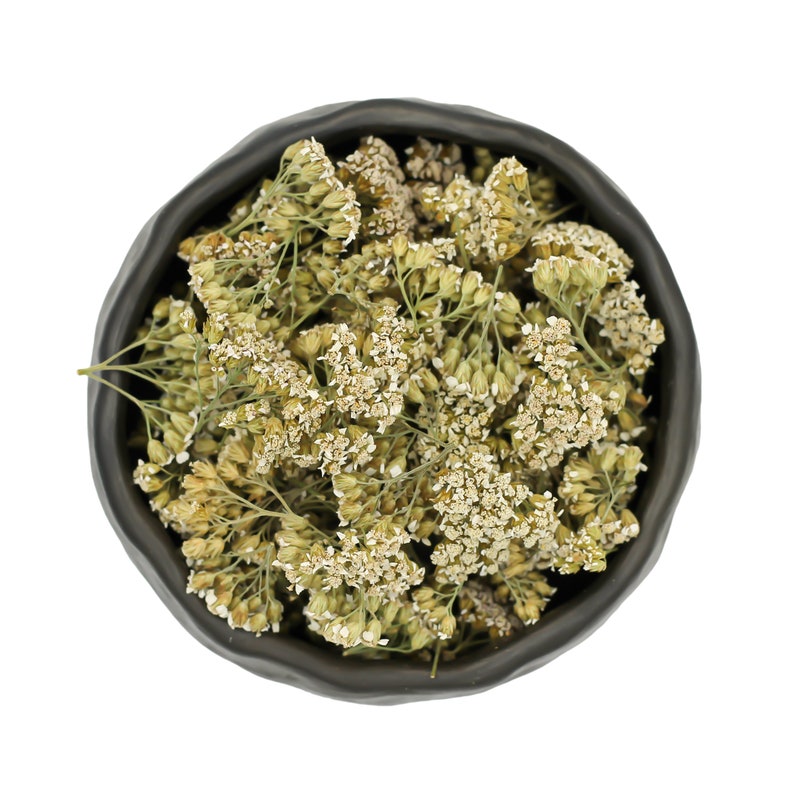 Yarrow Tea | White Yarrow Herb | Yarrow Flower | Achillea Millefolium ...