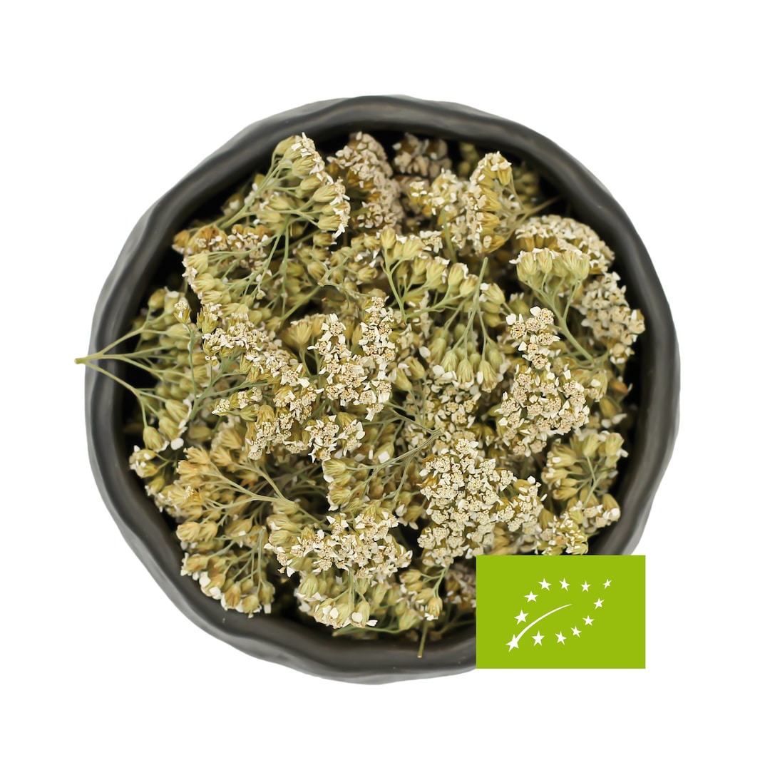 Yarrow Tea | White Yarrow Herb | Yarrow Flower | Achillea Millefolium ...