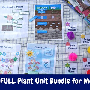 Pre-k Plant Busy Book Printable Activity Bundle | Plant Unit for ...