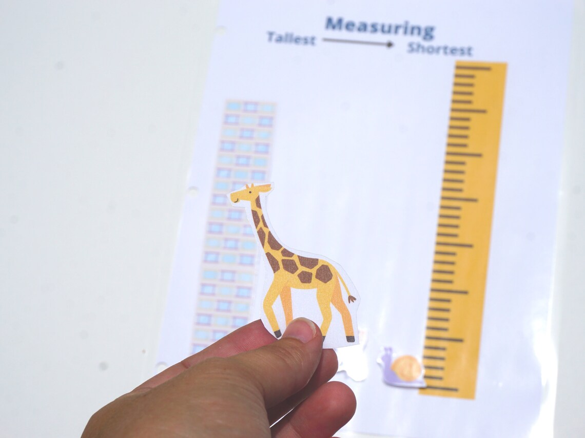 Pre-k Measurement Activity Printable for Busy Book | Preschool Science ...