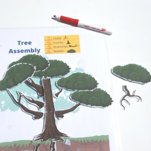 Build A Tree Printable Activity for Pre-k Science Busy Book | Garden ...