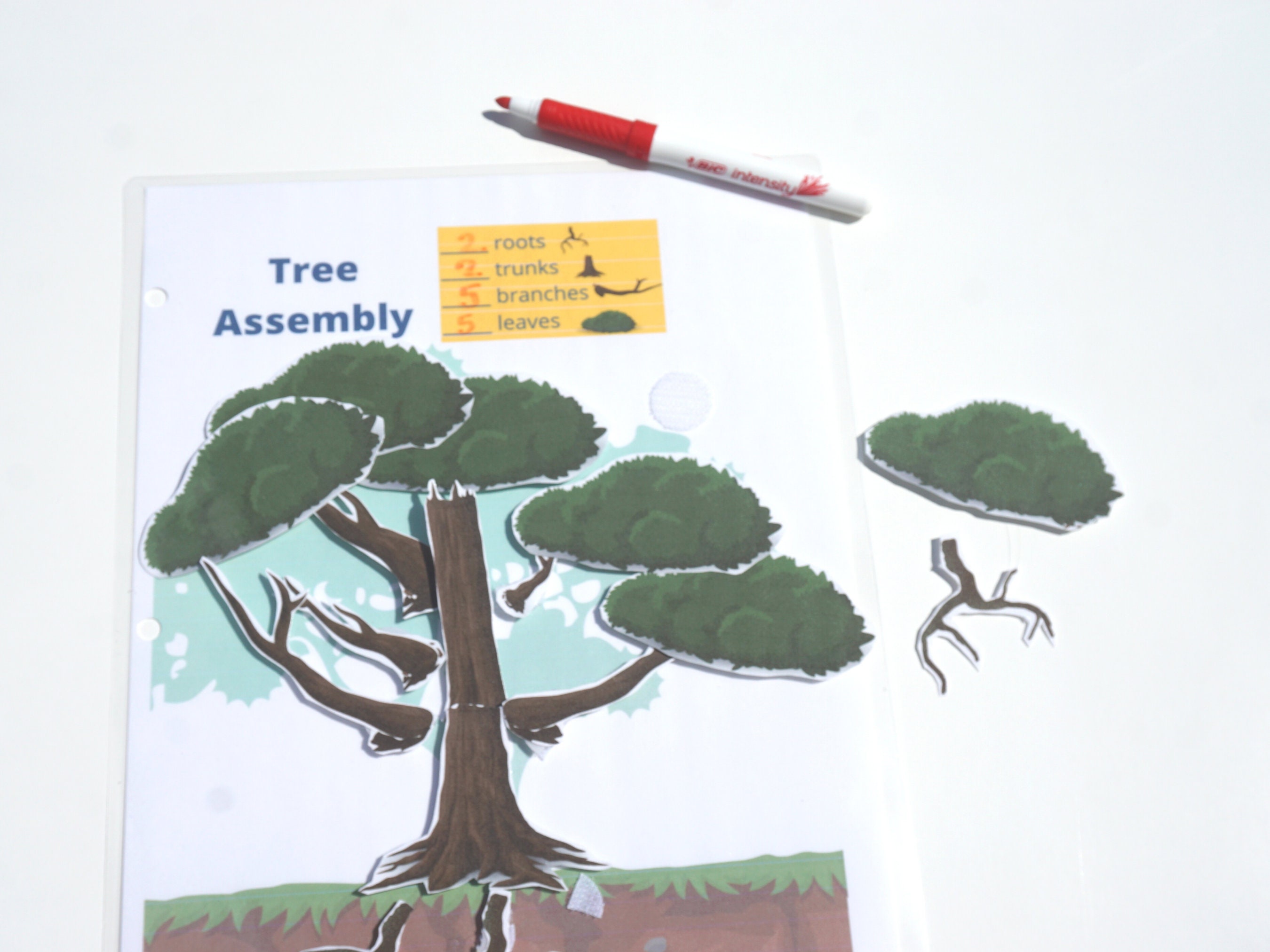 Build A Tree Printable Activity for Pre-k Science Busy Book | Garden ...