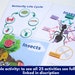 Pre-k Animal Printable Busy Book Activity Bundle | Science, Biomes ...