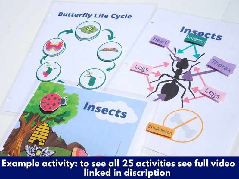 Pre-k Animal Printable Busy Book Activity Bundle | Science, Biomes ...