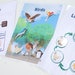 Bird Activity Printable Bundle for Preschool Busy Book | Pre-k Science ...