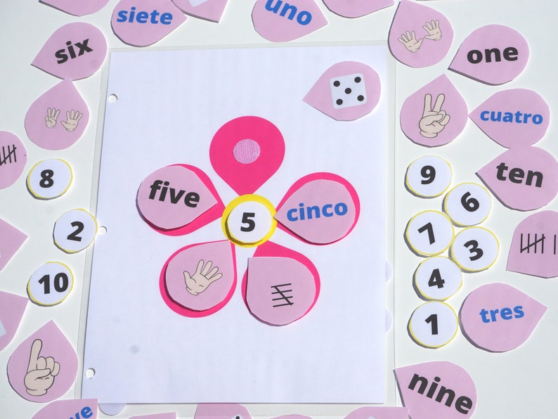 Pre-k Plant Busy Book Printable Activity Bundle | Plant Unit for ...