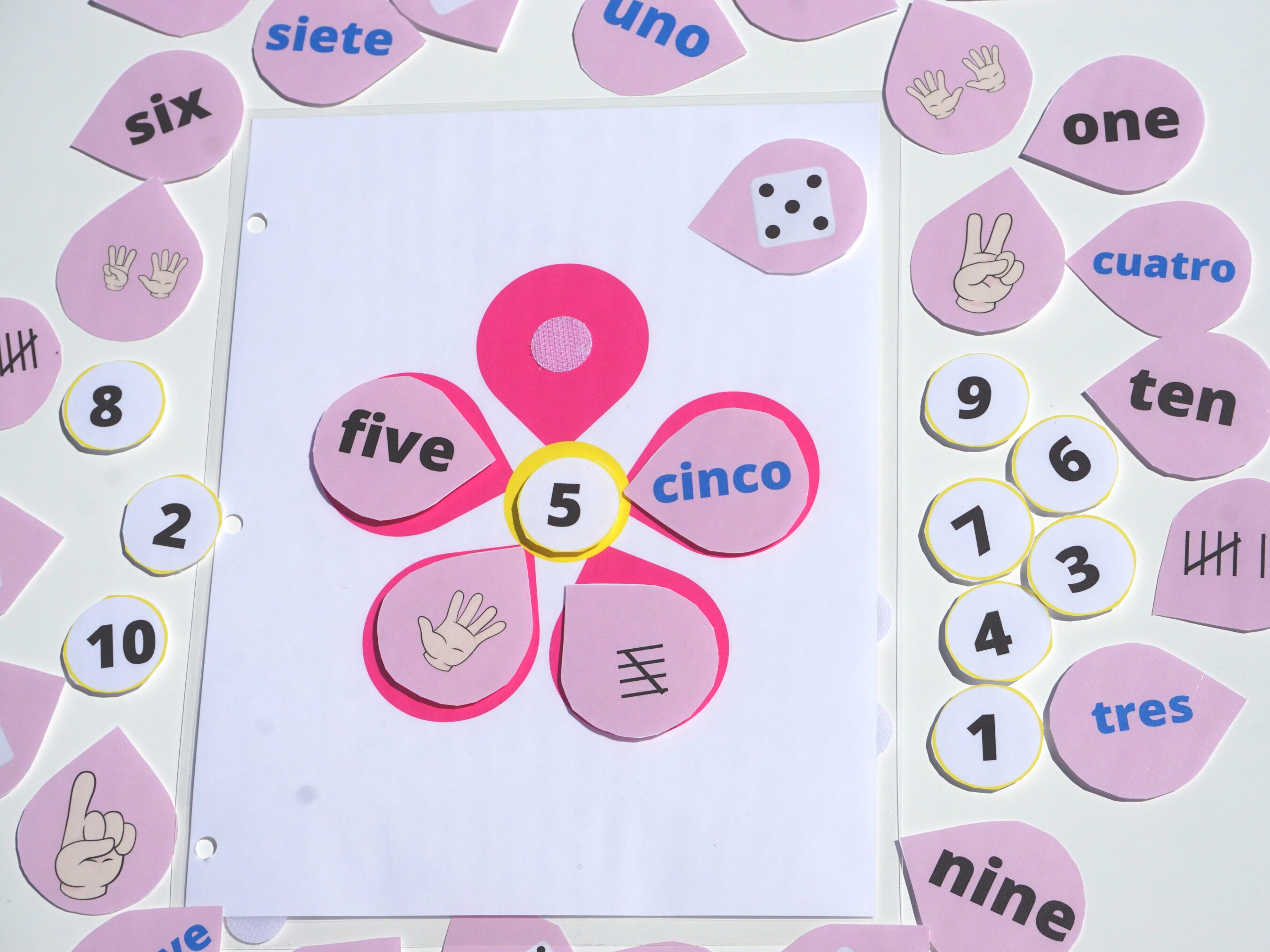 Pre-k Plant Busy Book Printable Activity Bundle | Plant Unit for ...