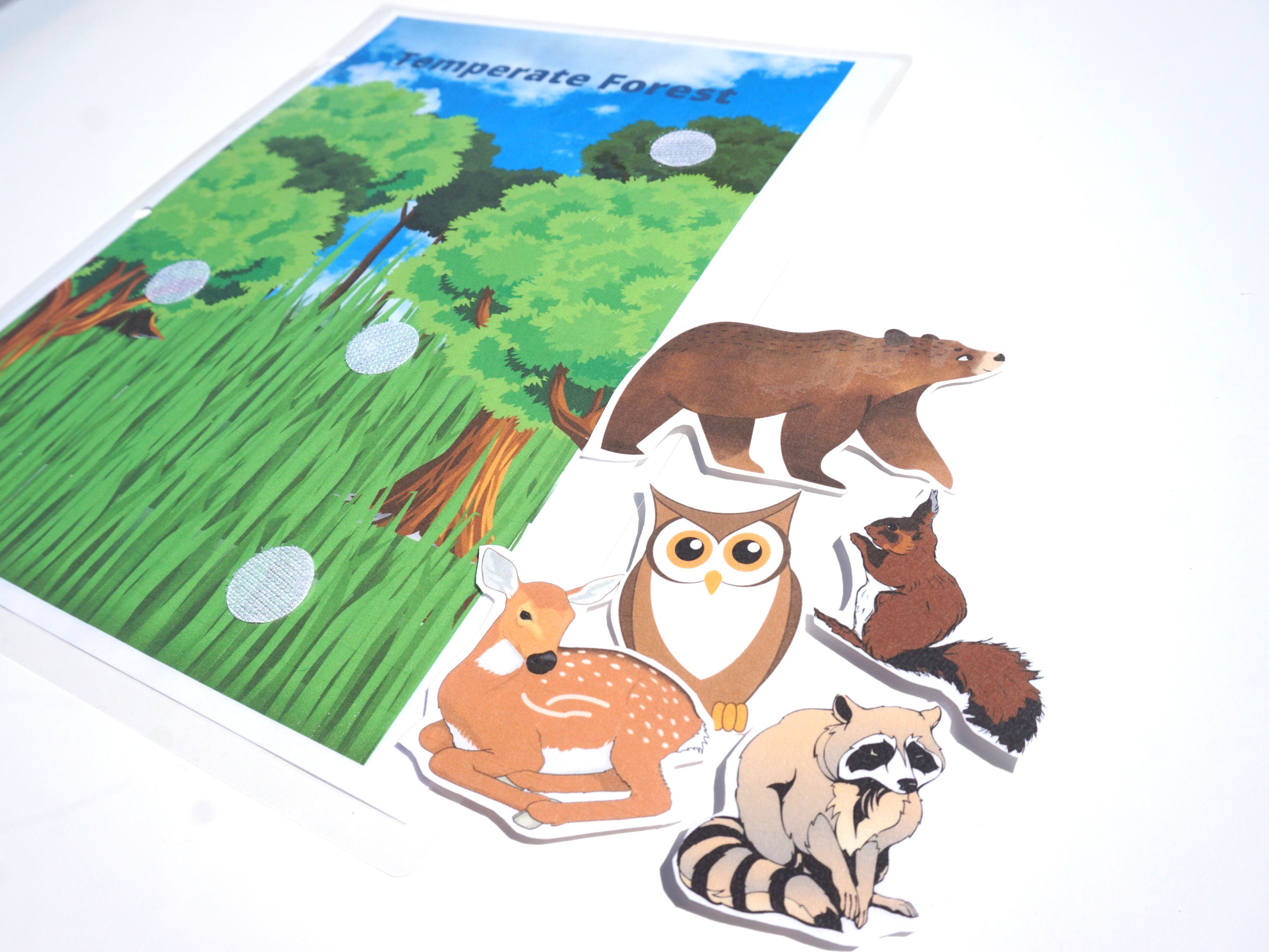 Temperate Forest Printable Matching Activity for Preschool Learning ...