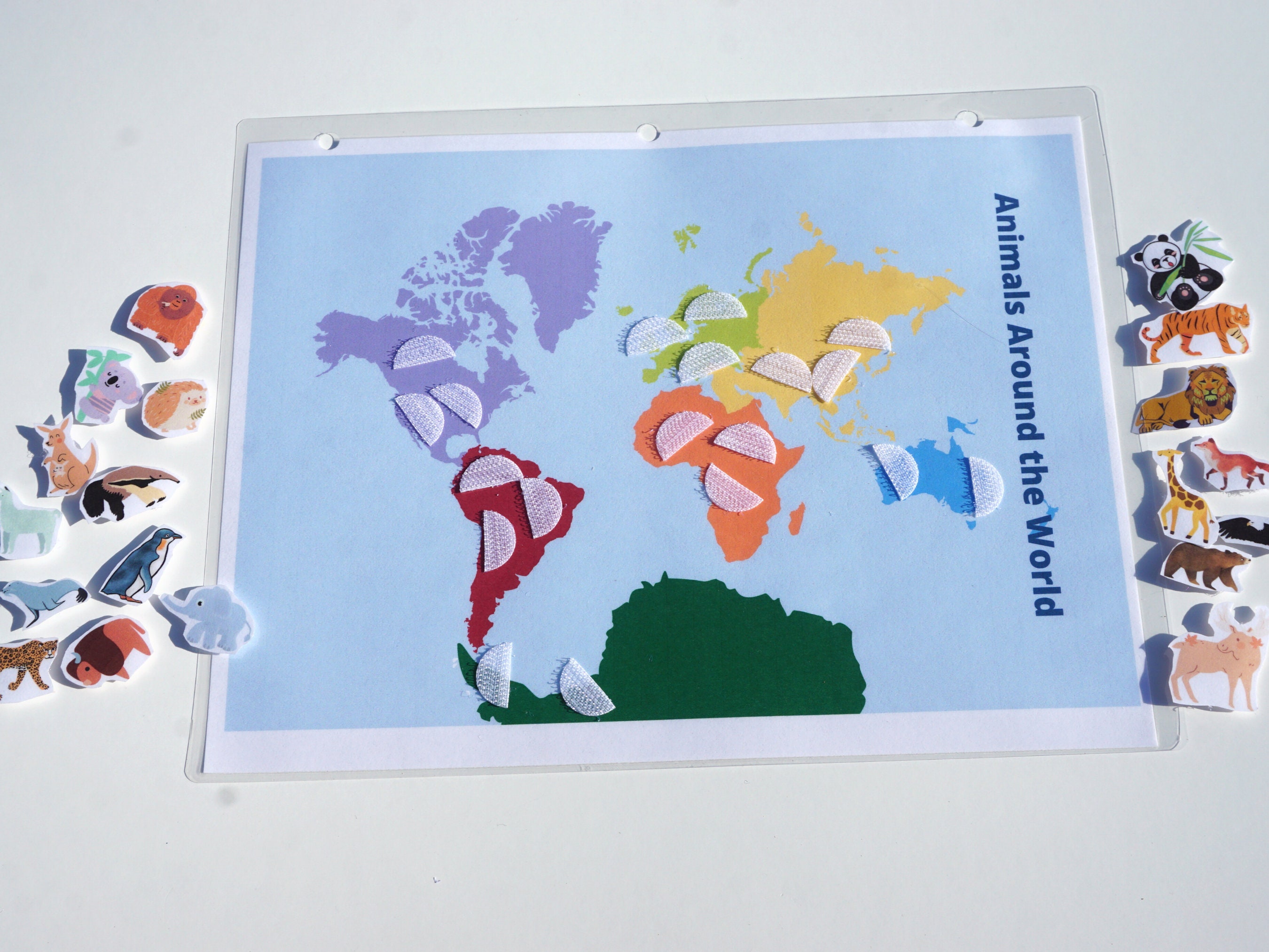 Animals Around the World Geography Activity Printable | Continents Pre ...