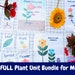 Pre-k Plant Busy Book Printable Activity Bundle Plant Unit for ...