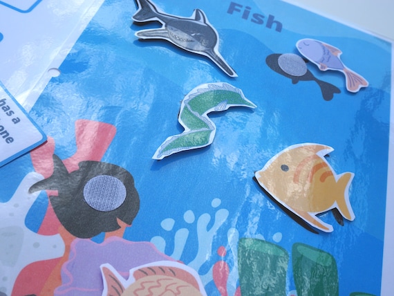 Pre-k Fish Printable Activities for Busy Book Fish Unit - Etsy