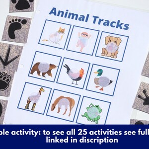 Pre-k Animal Busy Book Printable Activity | Animal Classifications ...
